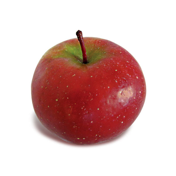 APPLE ROME – CJ Tropical Corp