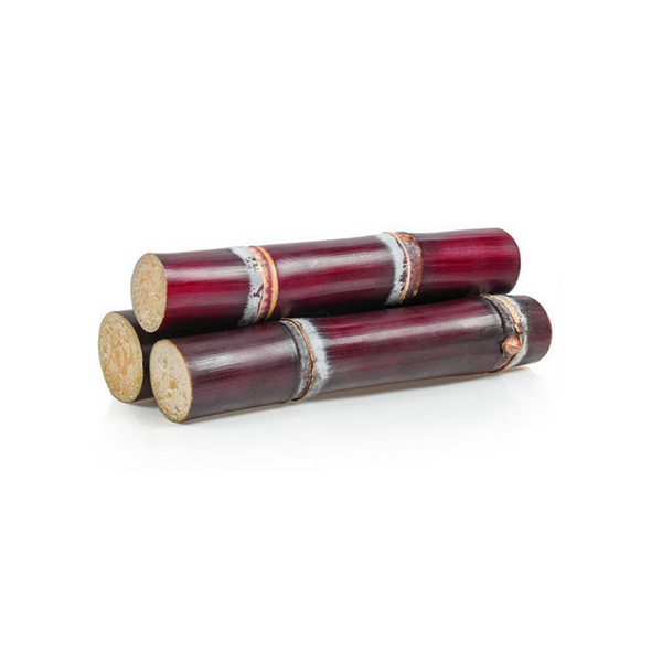 SUGAR CANE RED – CJ Tropical Corp