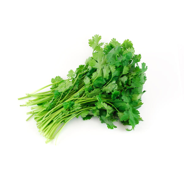 OG CILANTRO – CJ Tropical Corp